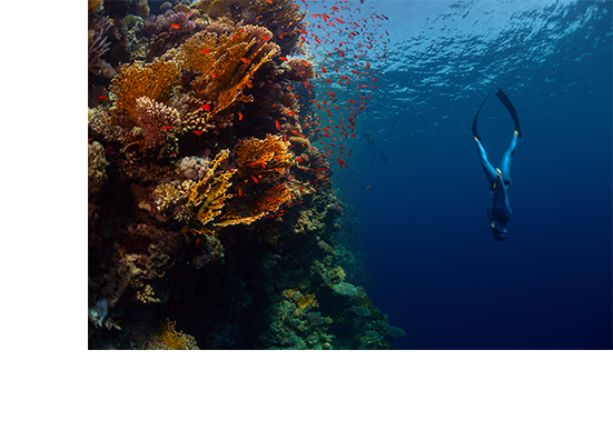 La Mer Blue Heart | Supporting Ocean Conservation Projects | La Mer ...